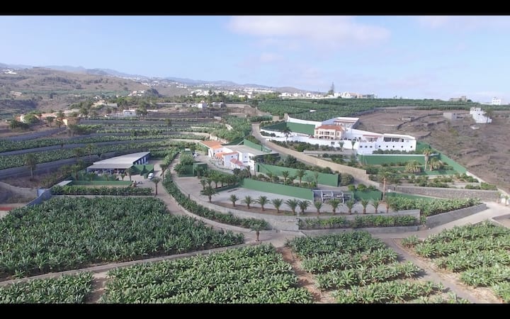 Villas Finca Los Palmitos Resort - Gran Canaria