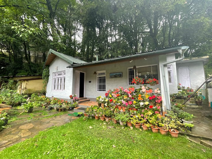 Stay Native Hutton Cottage Nainital - Nainital