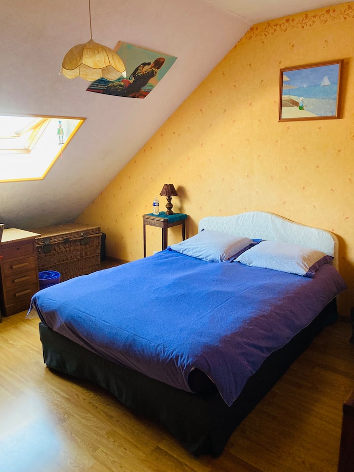 Location Chambres D’hôtes 24h Du Mans - Le Mans