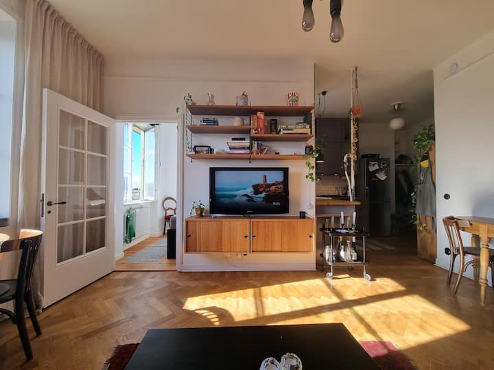 Renovated, Styled, Sun All Day - Stockholm