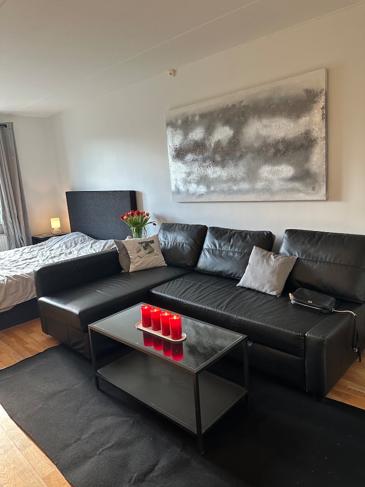 Mysig Och Modern Lägenhet - Malmö