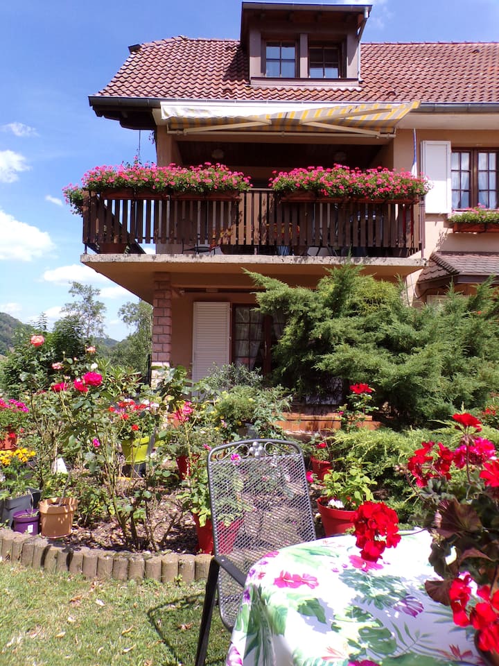 Gite Studio Champêtre 2 Pers75€/nuit -2 Nuits Min. - Sainte-Marie-aux-Mines