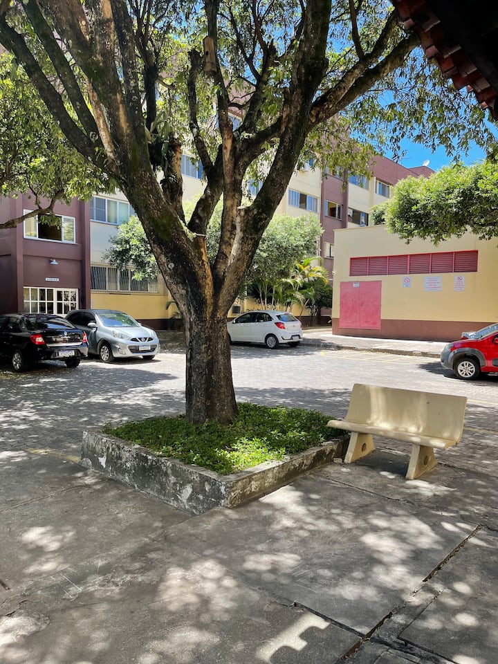 Etapa - 3qts, Ventiladores, Wifi E Vaga! - Vila Velha