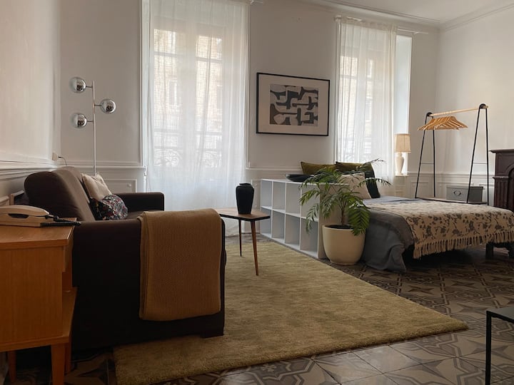 Charmant Appartement | Centre Ville | Parking - Gorges du Tarn