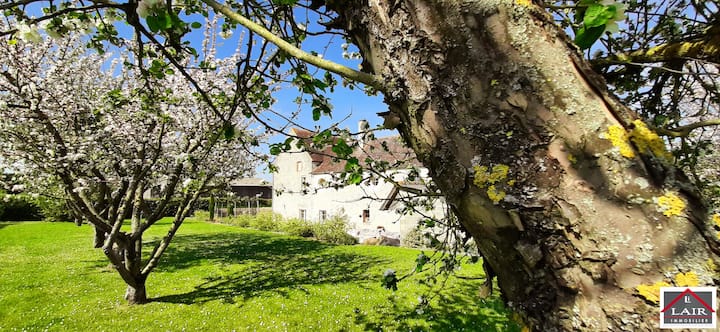 Maison De Charme Vue Campagne - Sées