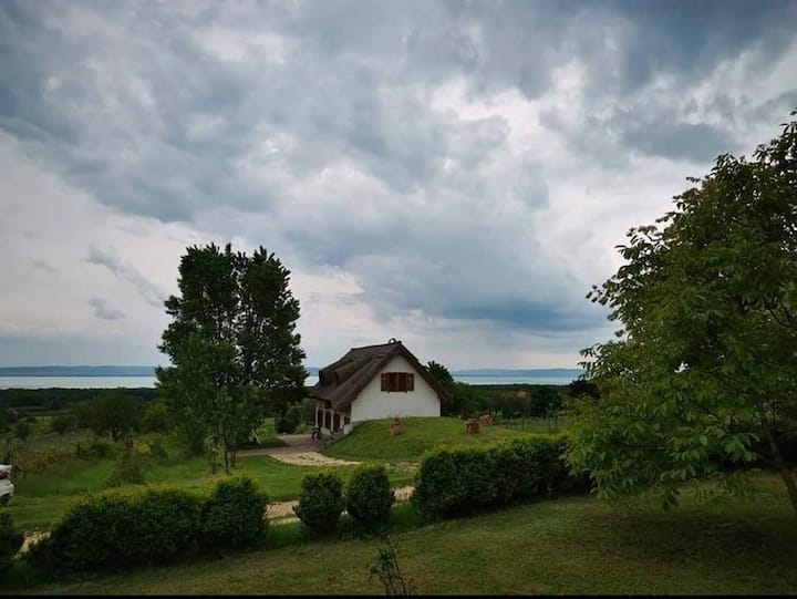 Vadvirág Vendégház Vászoly, 1047/7 Hrsz - Balaton