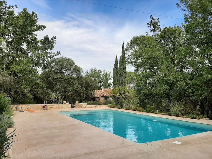 Les Agapanthes - Lorgues