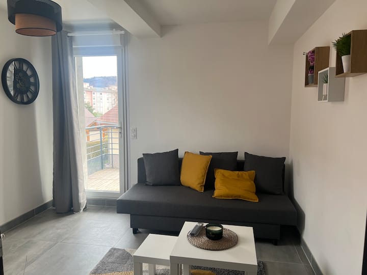Joli Studio Annecy 02 - Cran-Gevrier