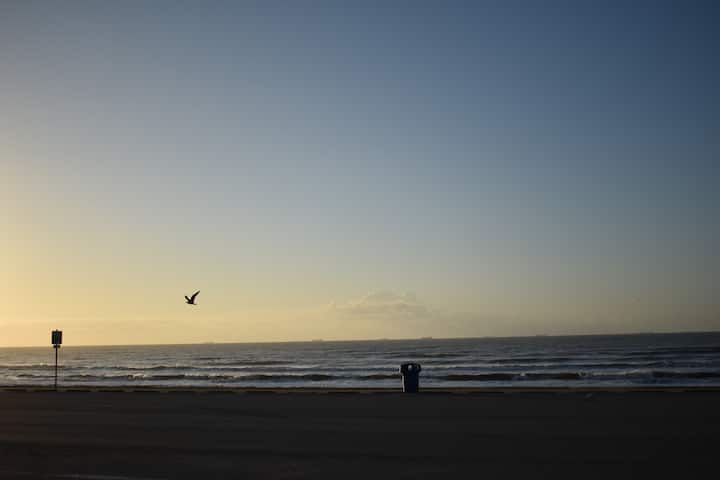 Gulf Breeze Oasis - Beach Access, Galveston