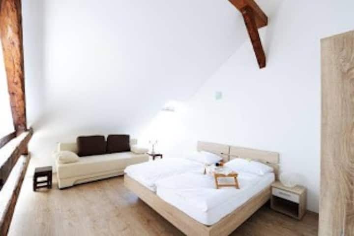 Apartments Katrca Ljubljana 4ppl - Liubliana