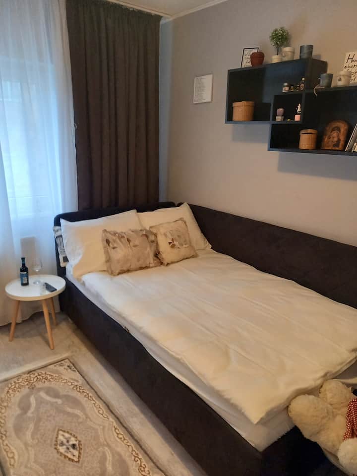 Cozy Private Room - Timișoara