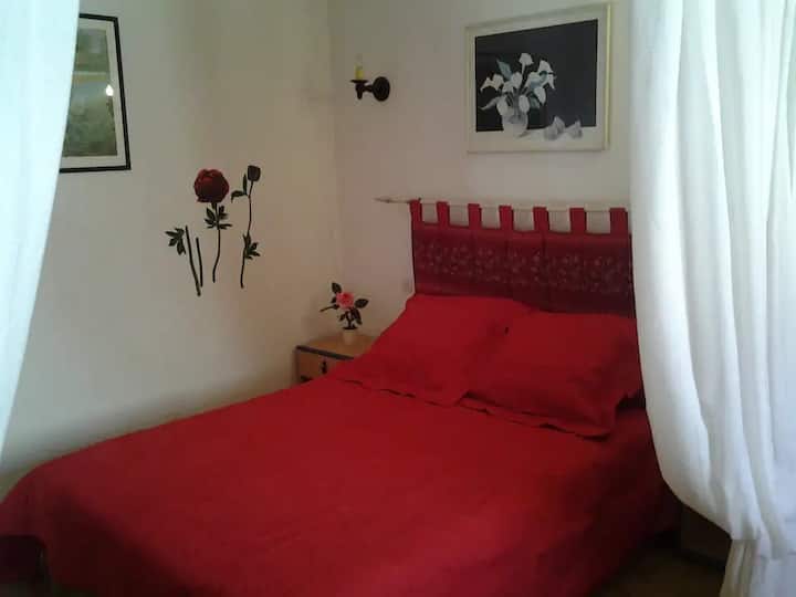 Appartement Proche Des Plages - Propriano