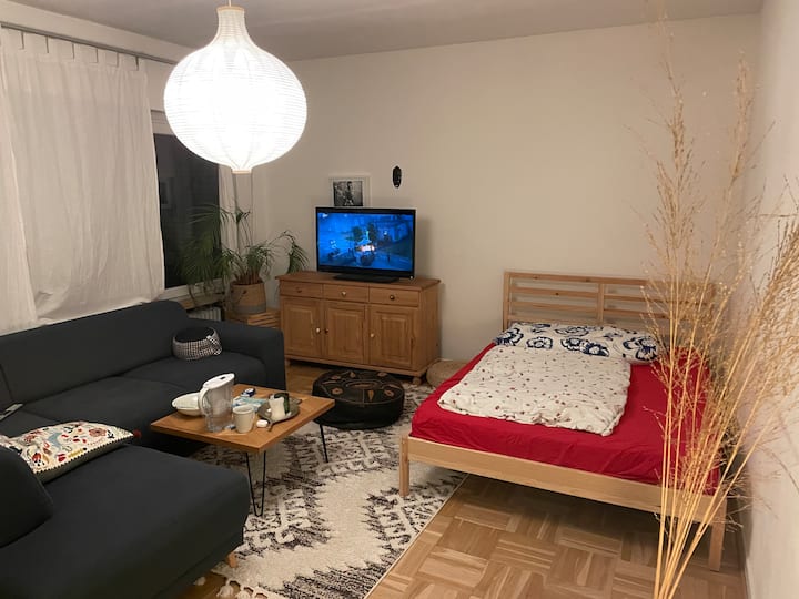 Großes Zimmer - Am Schwanenteich - Giessen