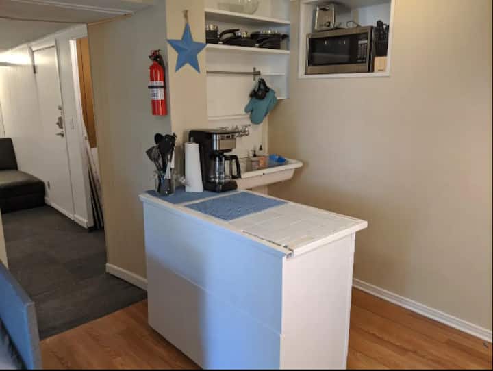 Cozy 1-bedroom Near The Arb! - Ann Arbor, MI
