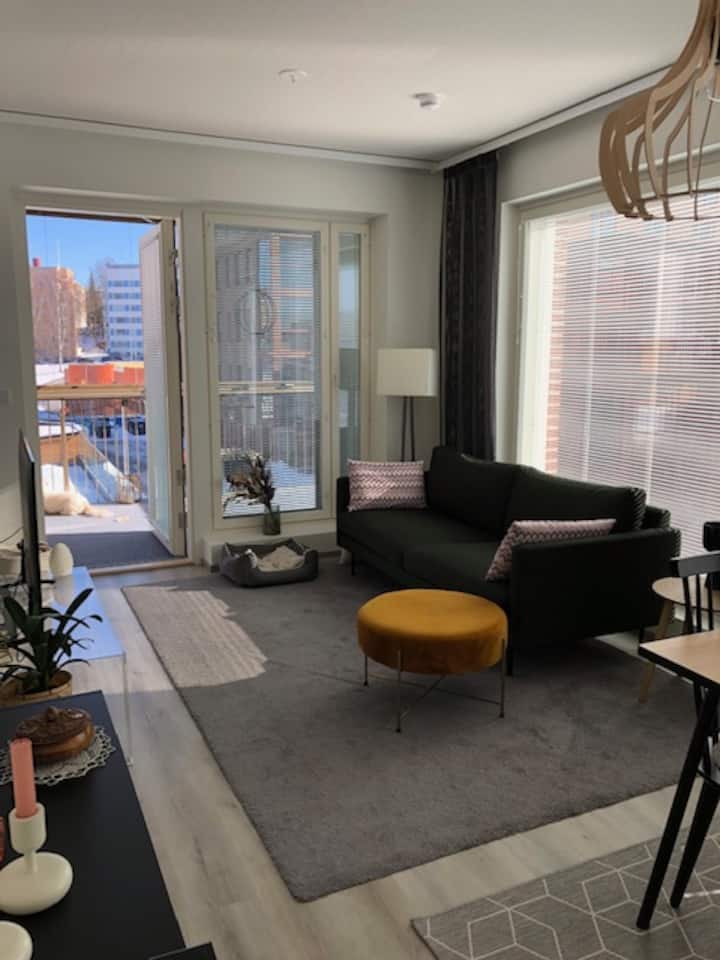 Apartment Next To The Center - Tampere