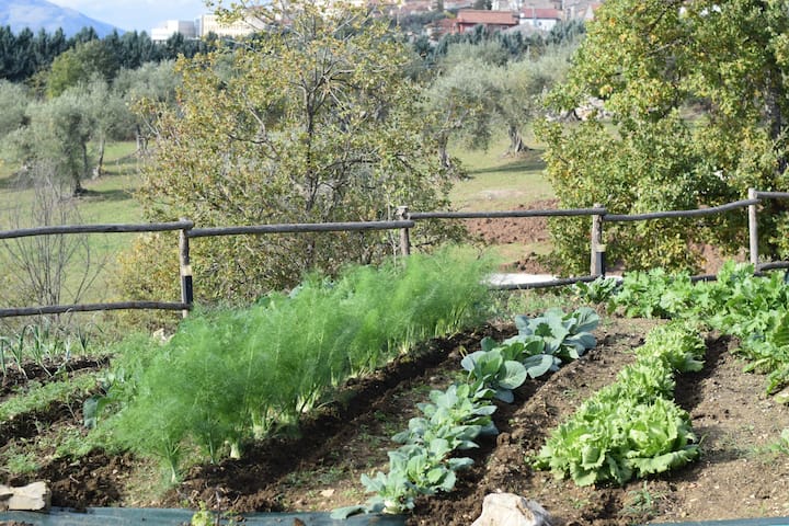 B&b Adamà - Atena Lucana