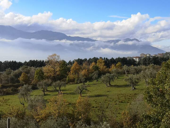 B&b Adamà - Atena Lucana