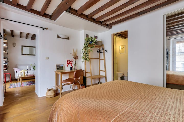 Charmant Appartement Quartier Canal St Martin - Quartier de Belleville