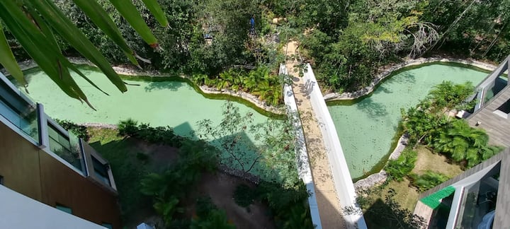 A Beautiful Nest On The Jungle . - Playa del Carmen