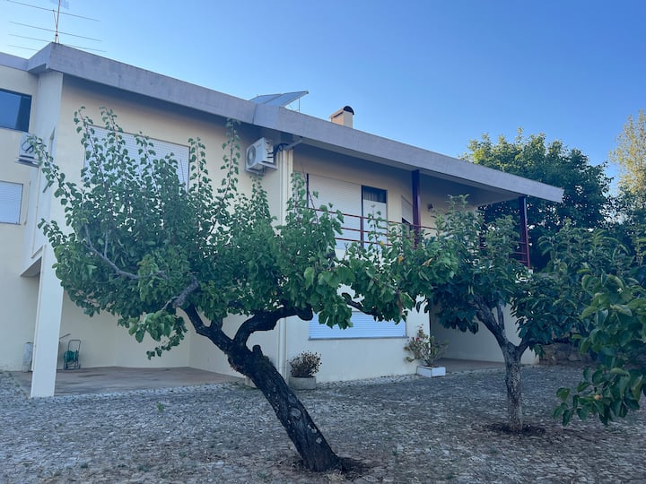 Casa Dos Avós - Coímbra