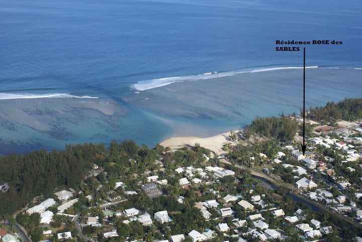 Rose Des Sables-l'ermitage-appart Pieds Dans L'eau - La Réunion
