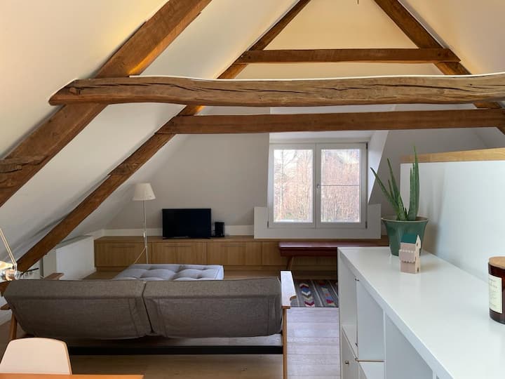 Loft Lumineux Près De Gand Et Du Port - Gante
