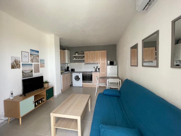 P2 Climatisé Centre Ville/plage Avec Parking Privé - Port Camargue