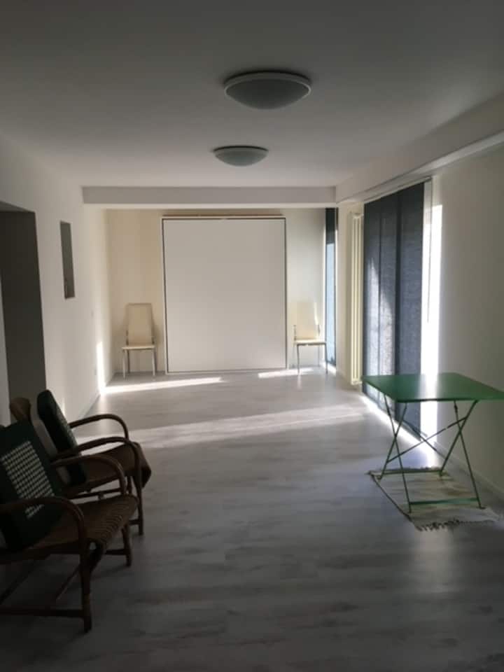 Monolocale Al Caco - Lugano