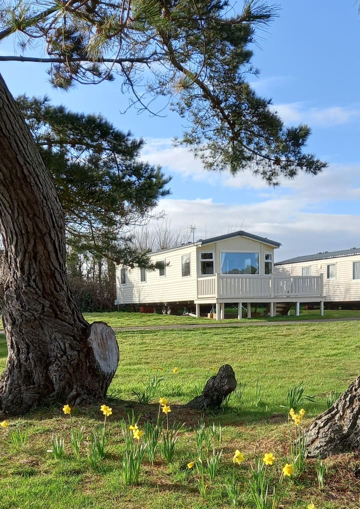 Comfortable Seahorses: 6-berth Caravan. - Isle of Wight