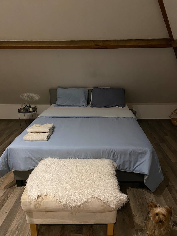 Prachtige Zolderstudio In Gent - Gent