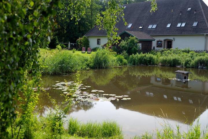 Miniapartm. An Der Klosterruine - Bad Doberan