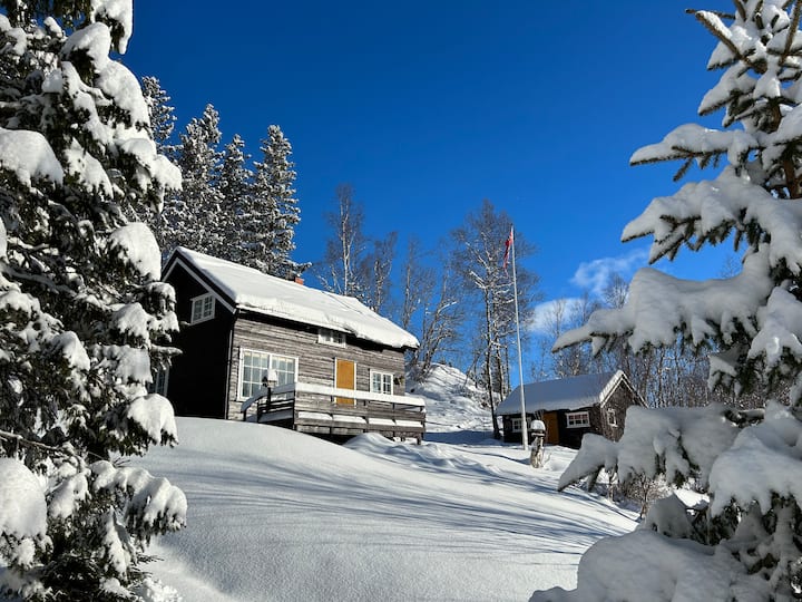 Cozy Log Cabin - Saltstraumen