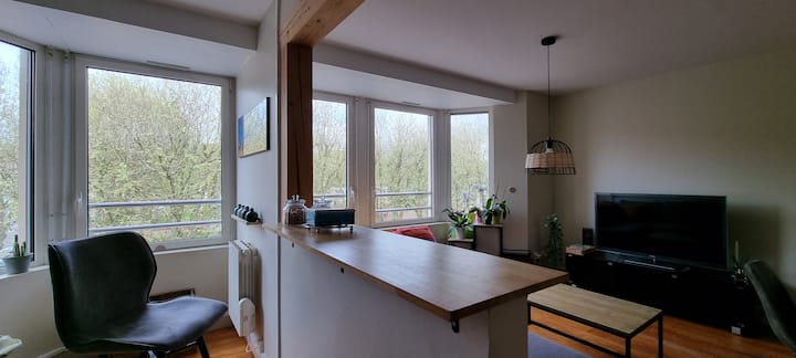Bel Appartement, Place Turenne à 350 M De La Plage - Dunkerque