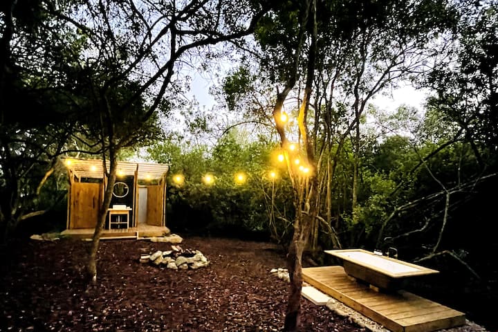 Tao Forest Campsites - Wilderness