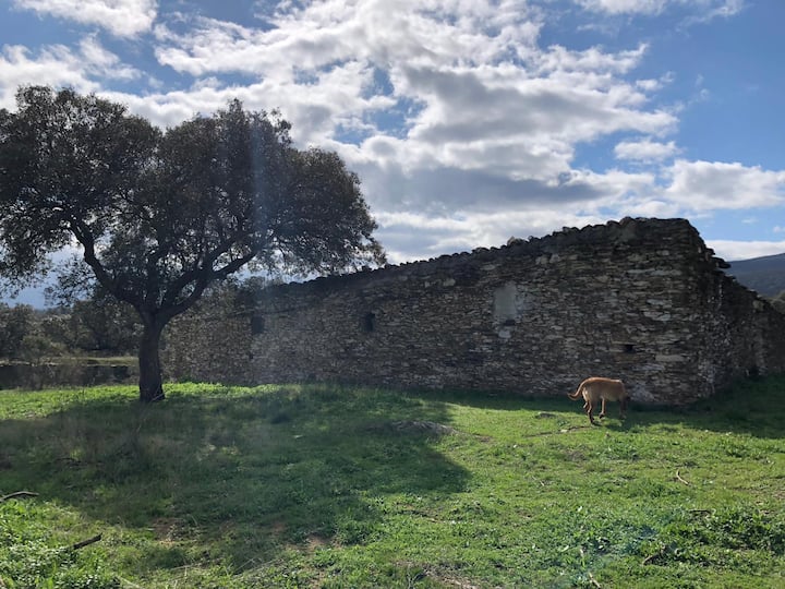 Finca Recreo Obra Nueva 2023 - La Estrella