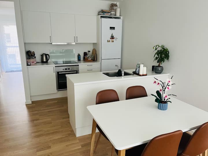 Luxury Room In A Big Apartment - Aarhus