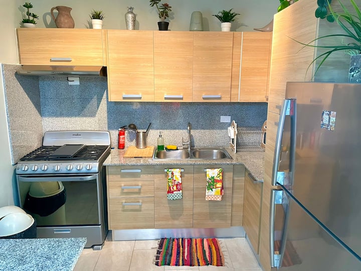 Simple & Chic Luxurious Condo - Santo Domingo