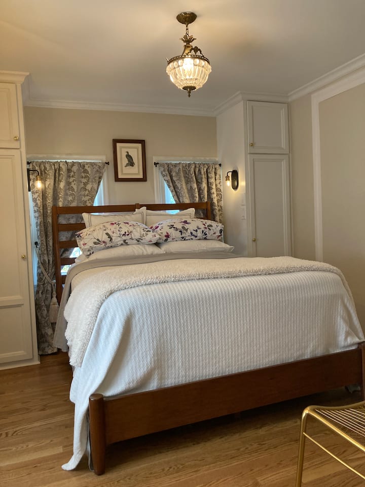 Spacious, Historic, Street-view Apt, Walkscore 96! - Denver