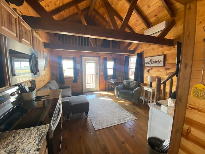 Eagles Nest Cabin #3 - Geneva-on-the-Lake, OH