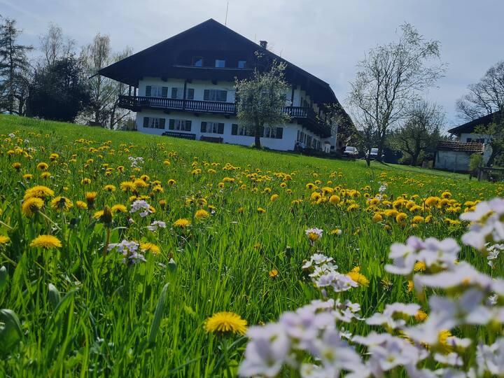 Ferienwohnung Kuh Le Muh - Waakirchen