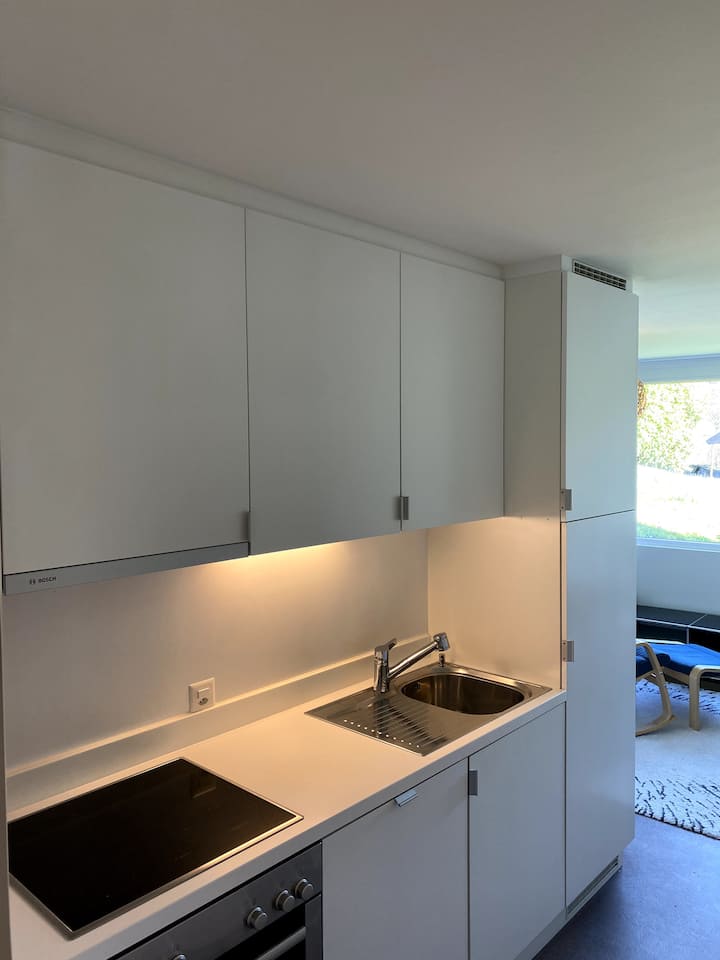 Studio Tout Confort Dans Villa Contemporaine - Vevey