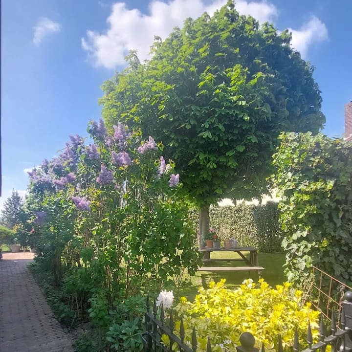 Polder Huisje (Tijdelijk) Zakelijk Kamer Verhuur. - Dordrecht
