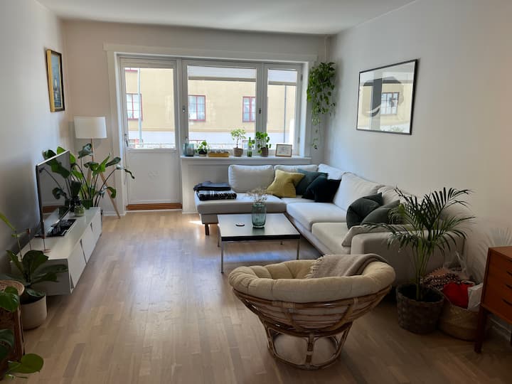 Leilighet På St. Hanshaugen - Oslo