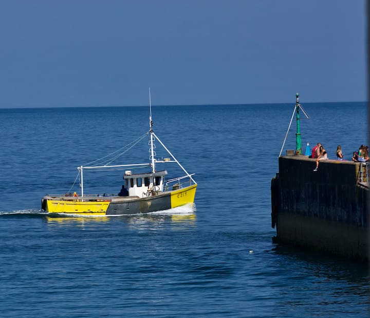 Guest Unit - Wicklow Harbour - Wicklow