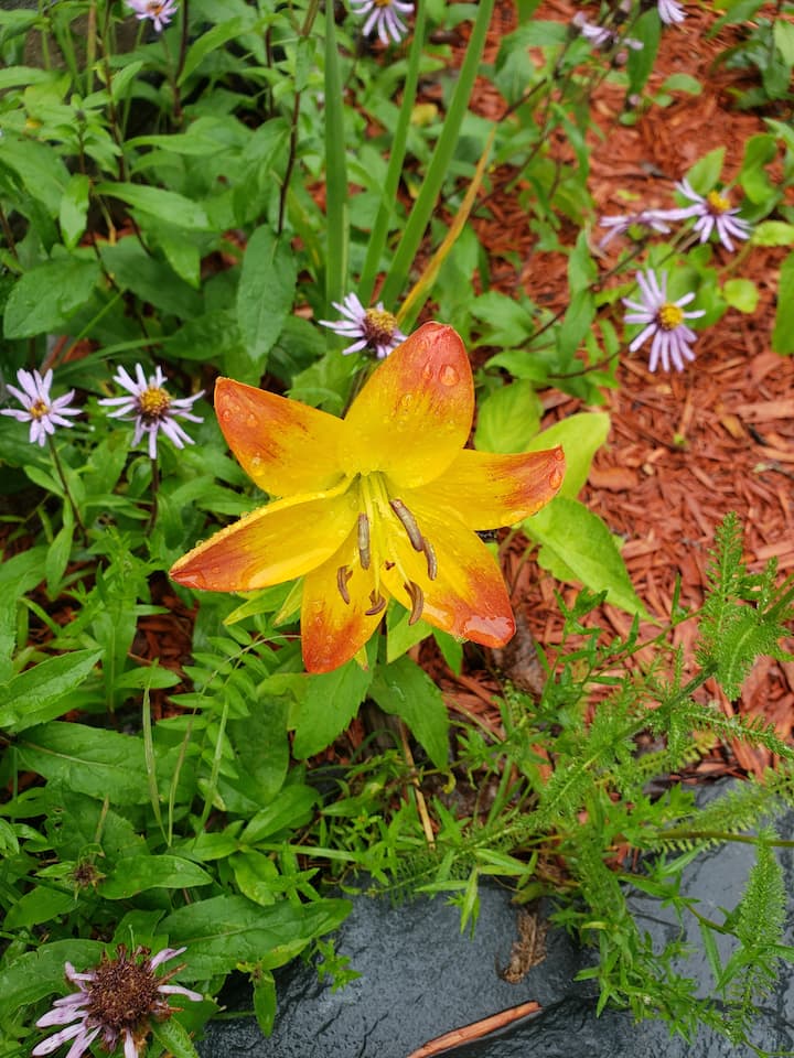 Home In Sterling - Sterling, AK