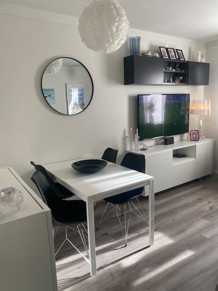 Nice Apartment Down Town - Rejkiawik