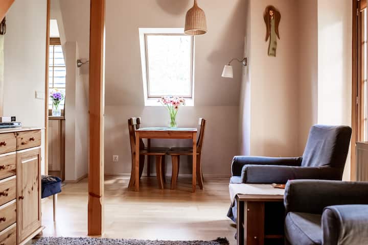 Apartament Kozica - Zakopane