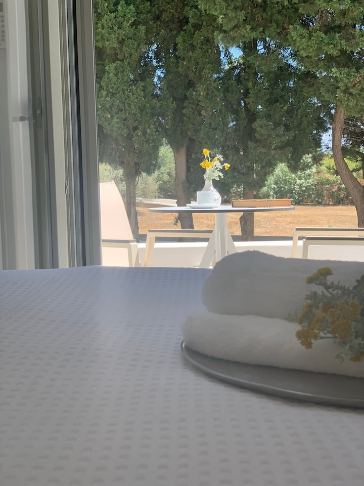 Chrisantakis Apartments 1 - Paros