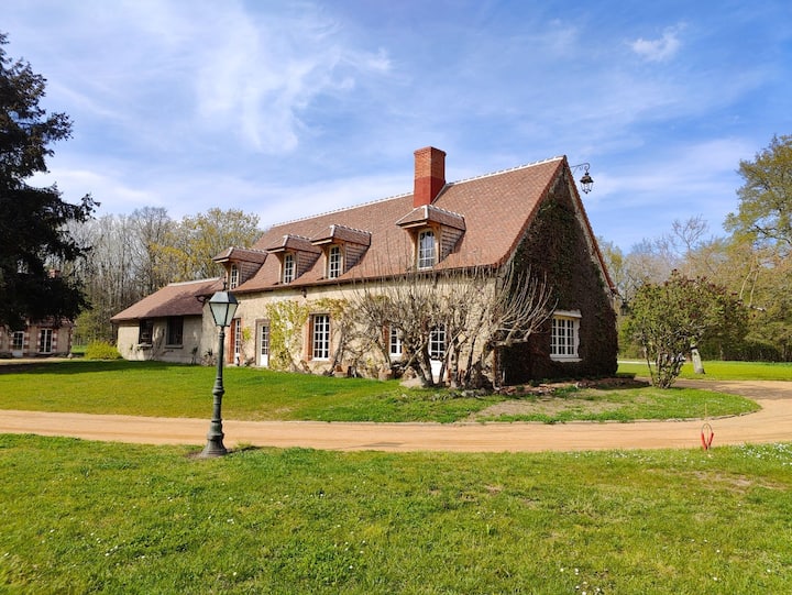 Incroyable Gîte En Pleine Forêt - Vierzon