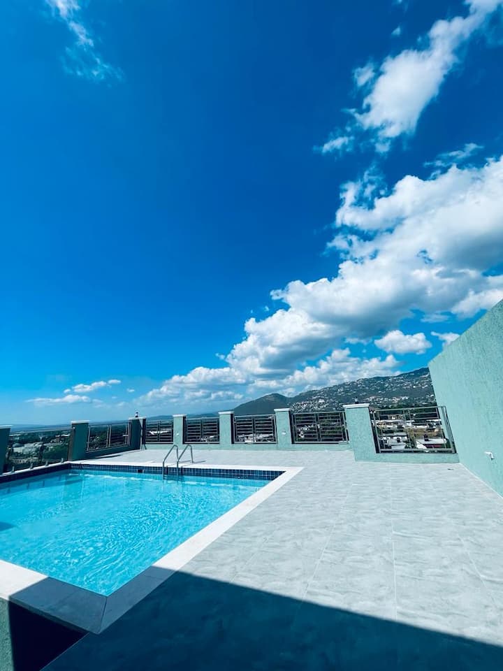 Bright & Modern, Rooftop Pool Paradise - Kingston